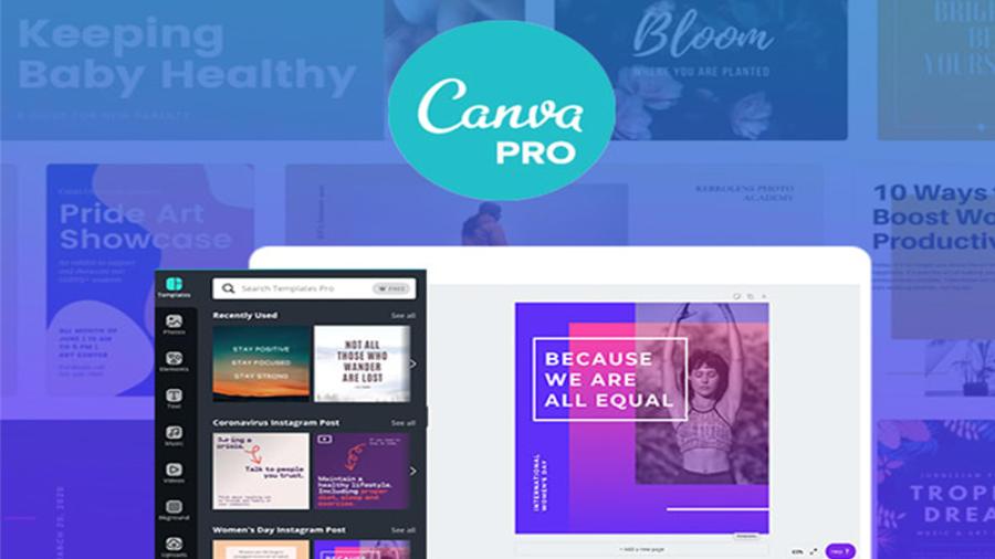 Canva Design Software: The Secret to Its Popularity and Trusted Use